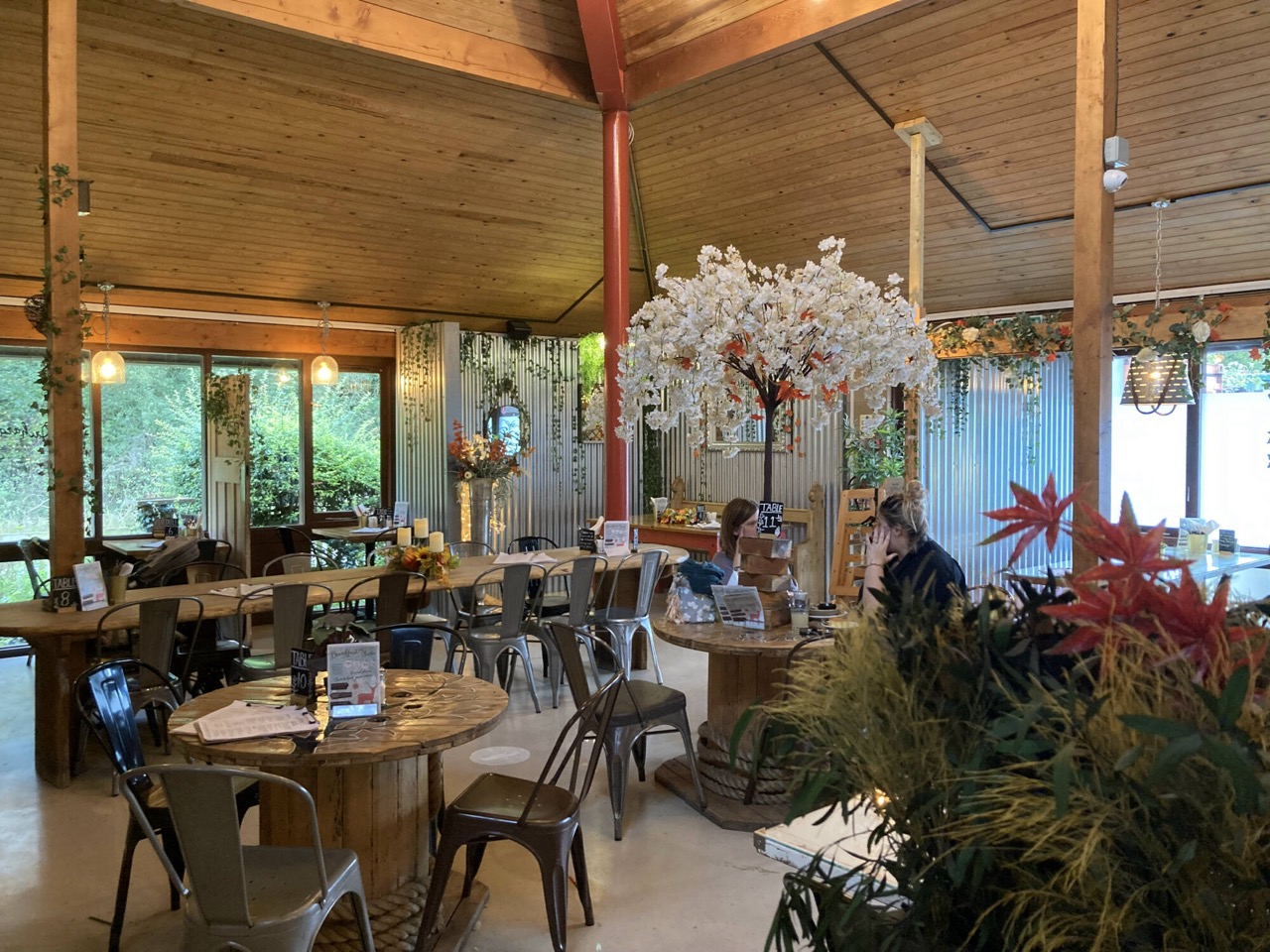 The Orchard Cafe, Worcester - cafe reviewed and visited